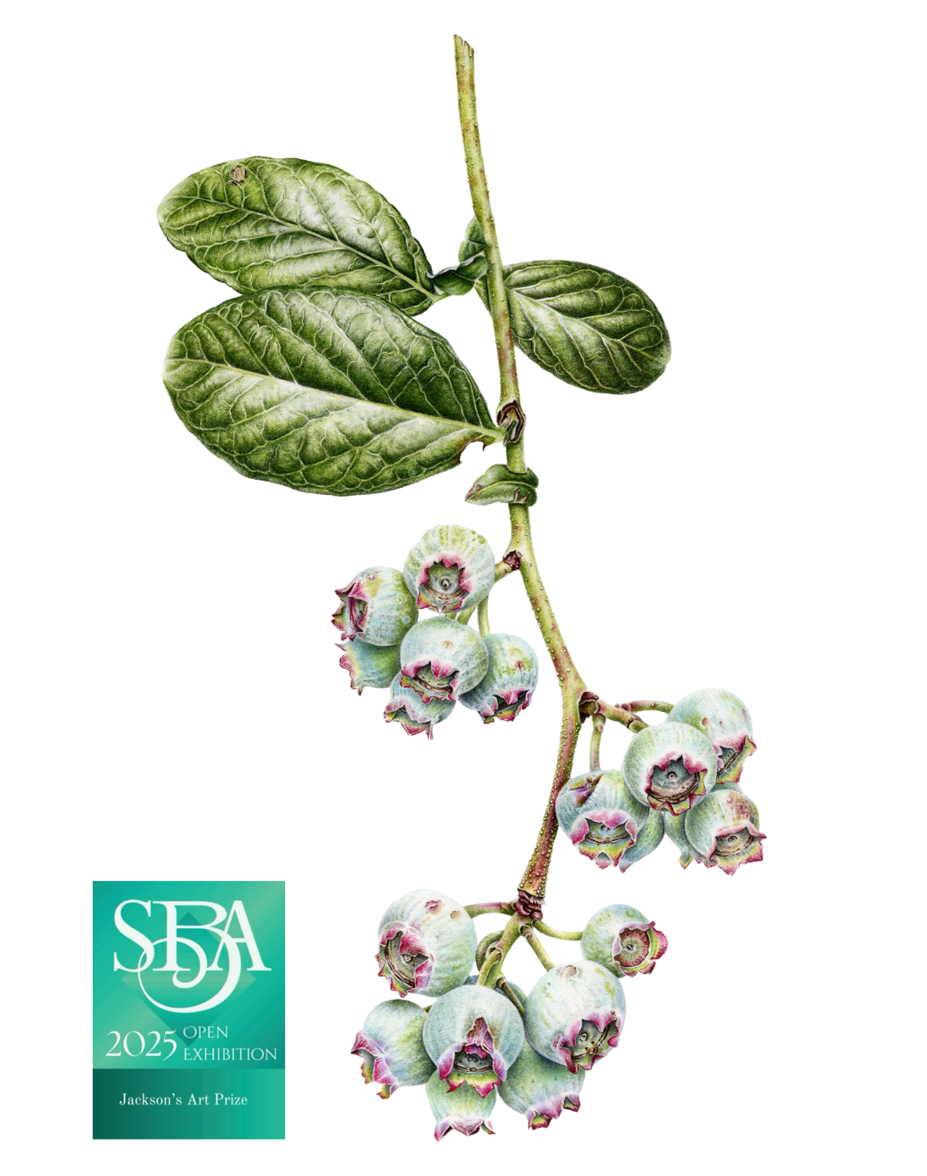 2025 Reflections as an Artist | Emma Tildesley